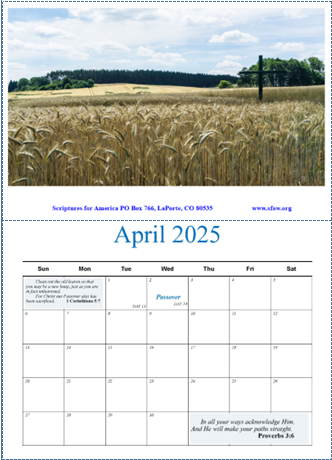 2025 SFA FULL PAGE WALL CALENDAR – sfacart